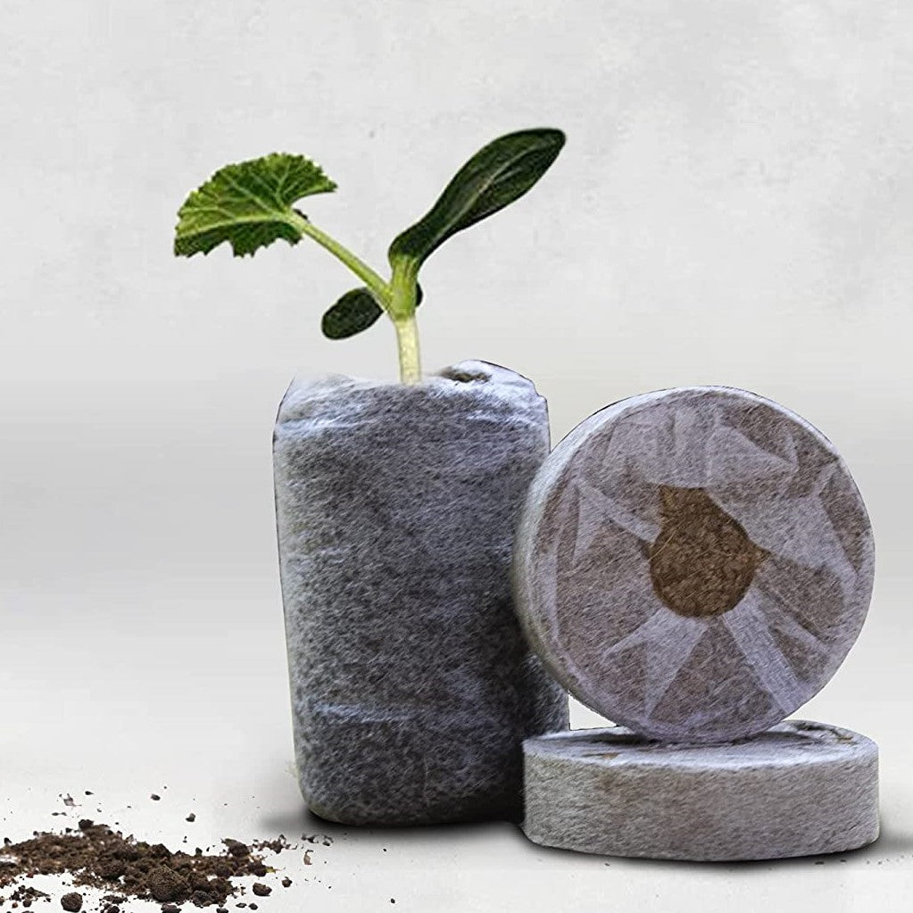 10 Premium Rooter Plug (40 mm each) | Coco Disc| Coco Pellet| Hydropon ...